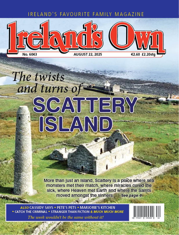 Irish Wildlife – The Common Lizard – Ireland's Own